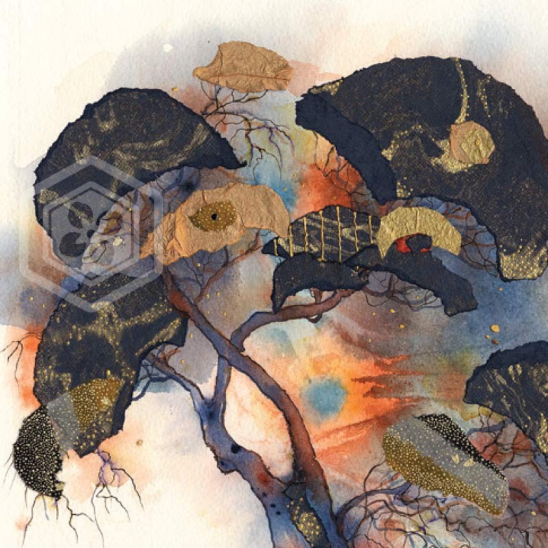 The Old Rottnest Tree | Contemporary WA Canvas Art Prints for SALE ...
